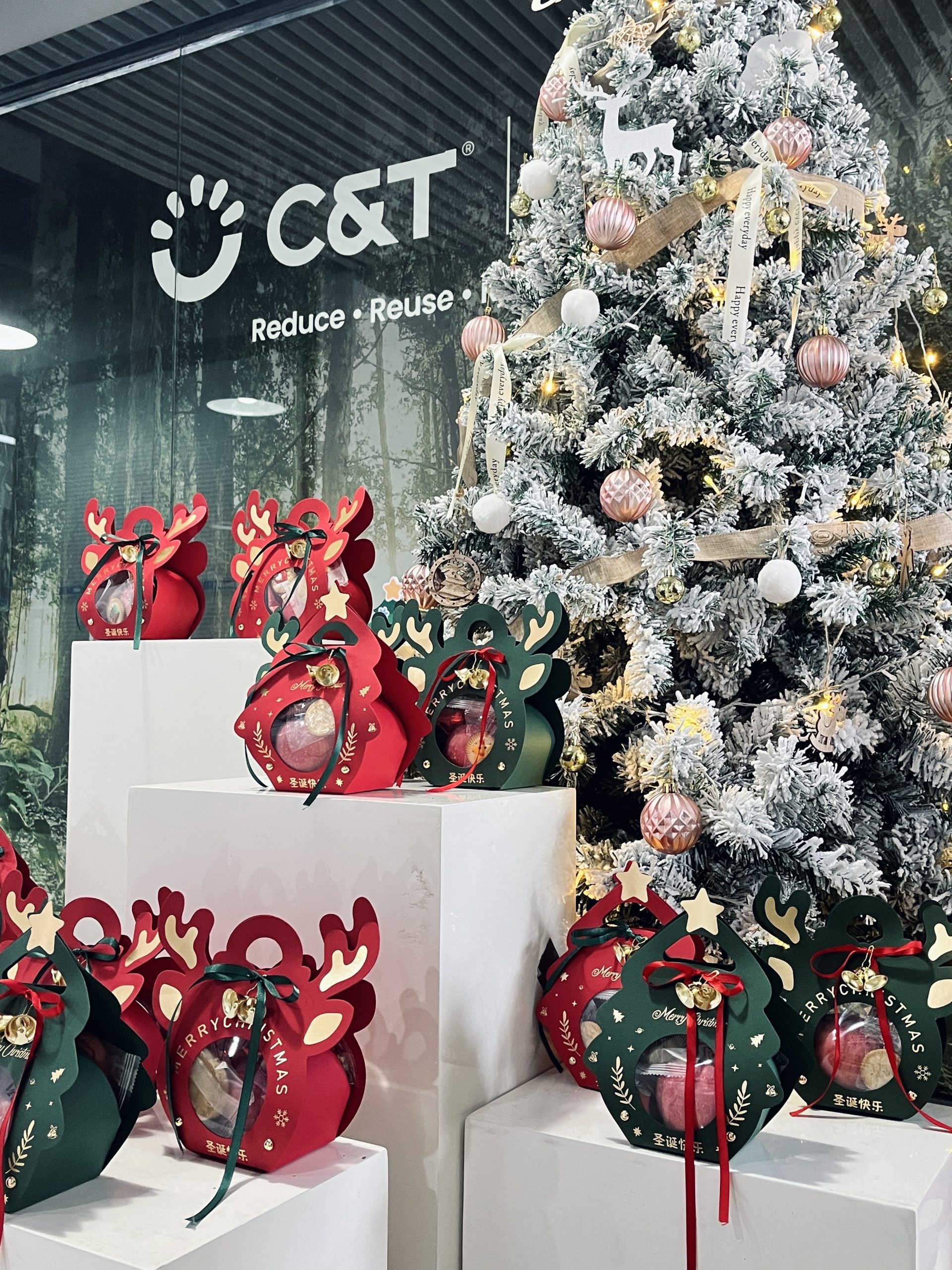 Get into the Festive Spirit: C&T Christmas Activities - C&T Phone Case ...